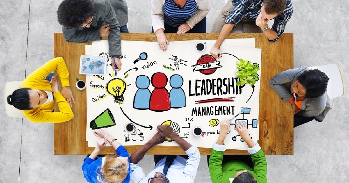 How people grant permission to lead in organizations | Surdek